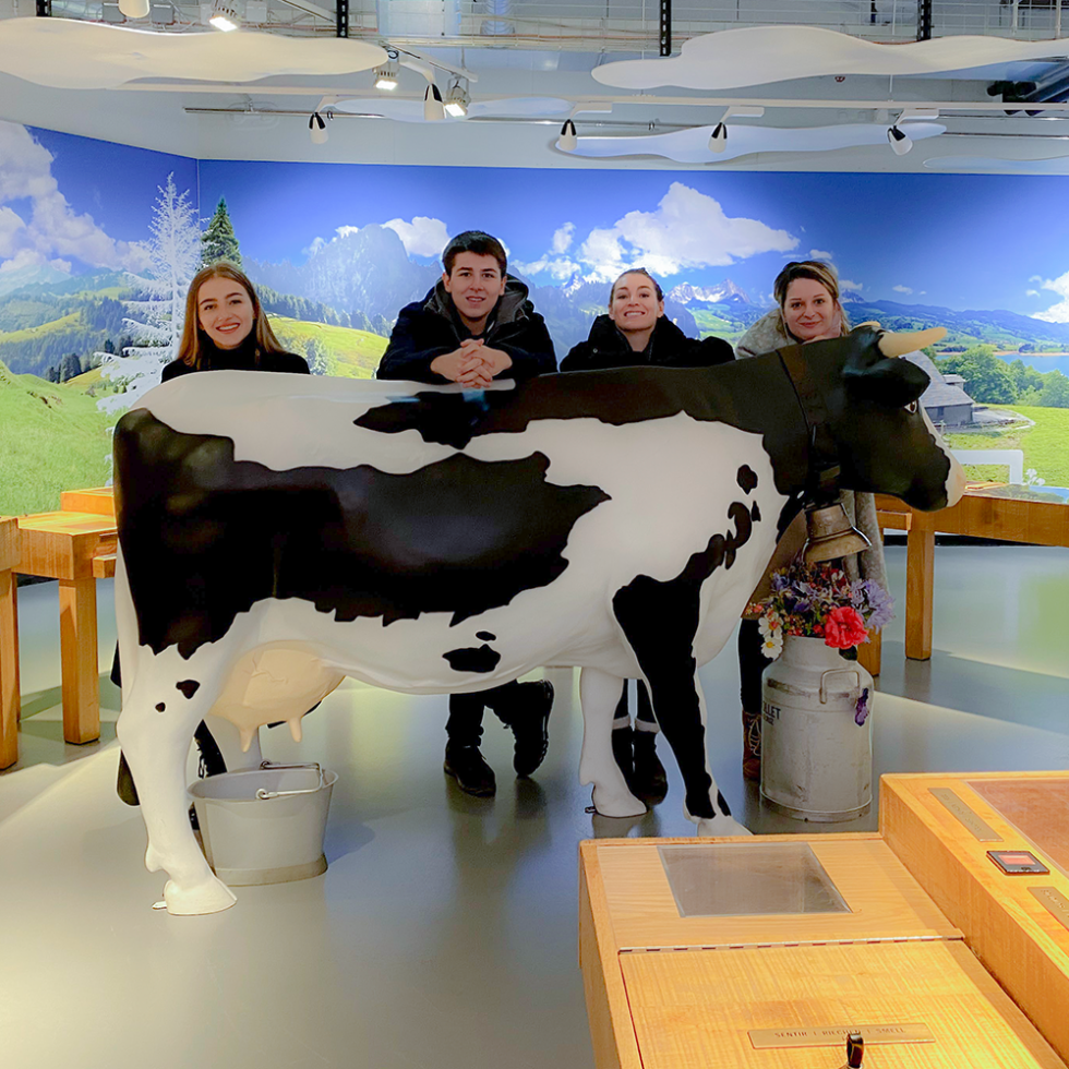 Bachelor’s Degree Programs | The Basel School